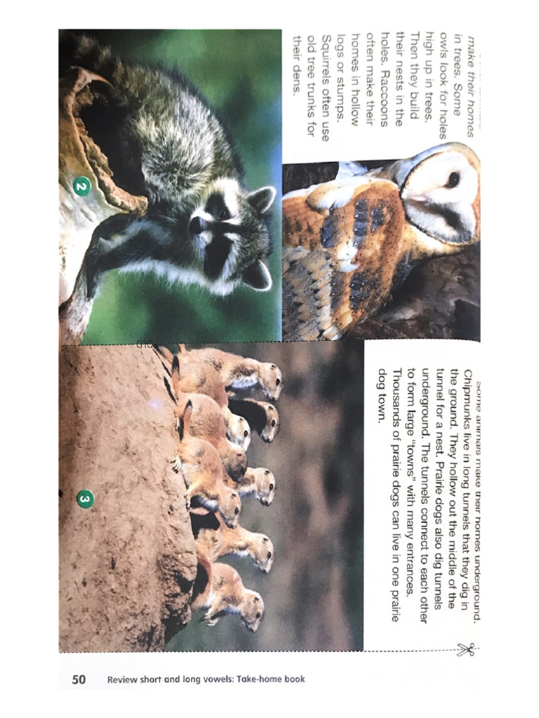 Phonics For Kids Unit 2 Part2 | PDF