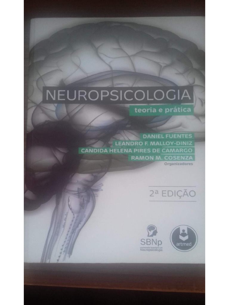 Neuropsicologia Teoria e Prática.compressed | PDF