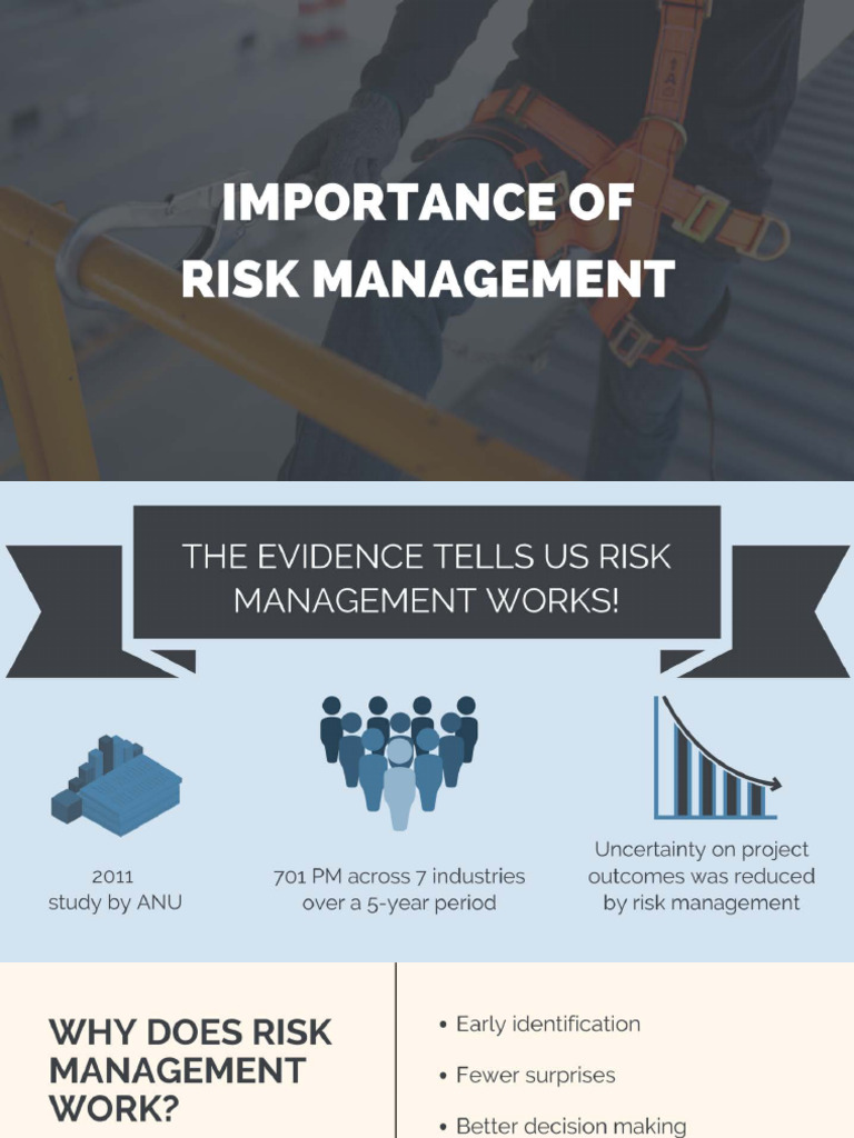 Importance of Risk Management VF | PDF