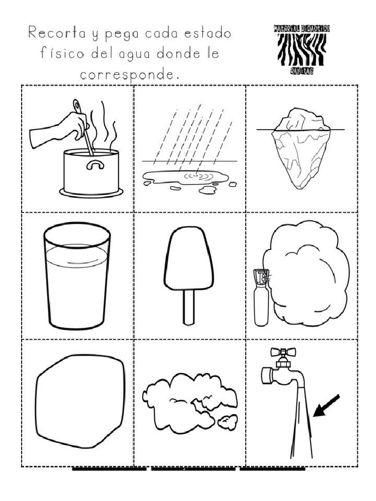 Actividades Complementarias Ciencias Naturales, Estados de La Materia ...