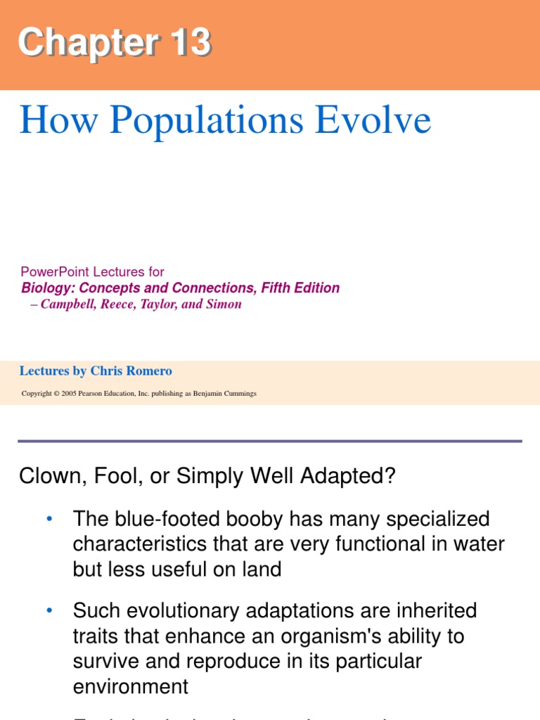 Chapter 13 How Populations Evolve Pdf Genetic Diversity Evolution