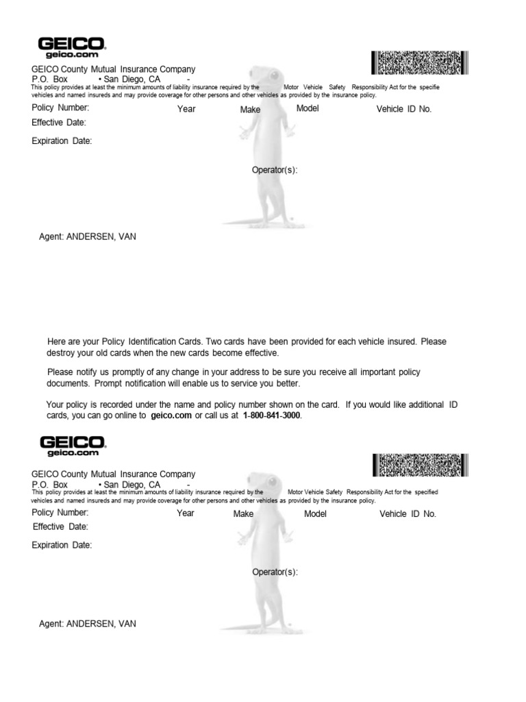 Georgia Liability Insurance Card Details | PDF | Insurance | Transport