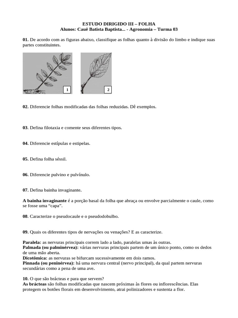 Classificação e Tipos de Folhas em Botânica | PDF