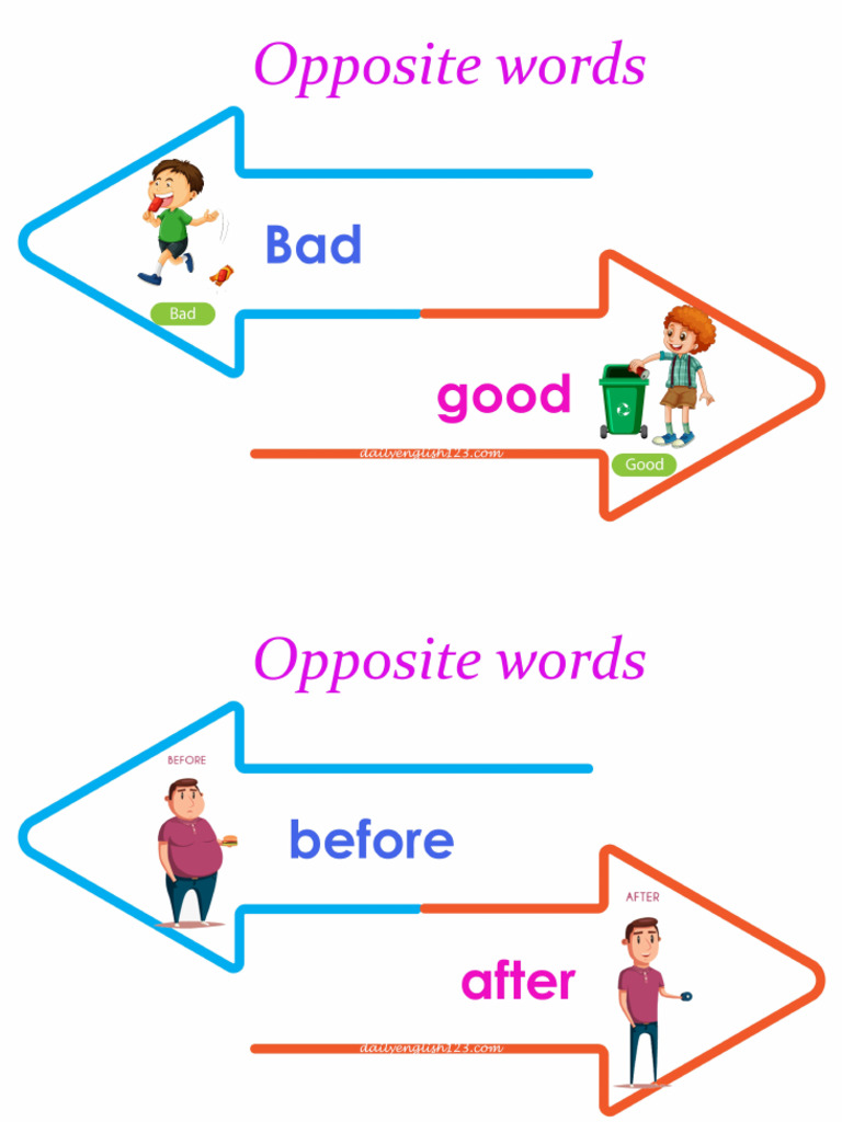 Opposite | PDF