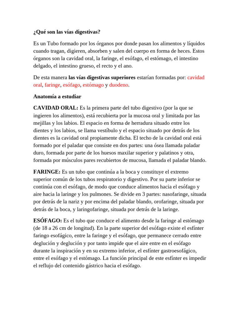 Esofagograma I | PDF | Boca | Esófago
