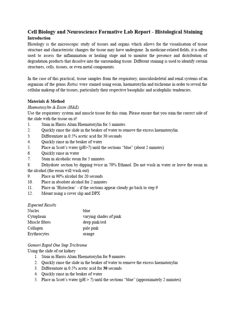Cell Biology and Neuroscience Formative Lab Report - Histological Staining | PDF | Staining ...