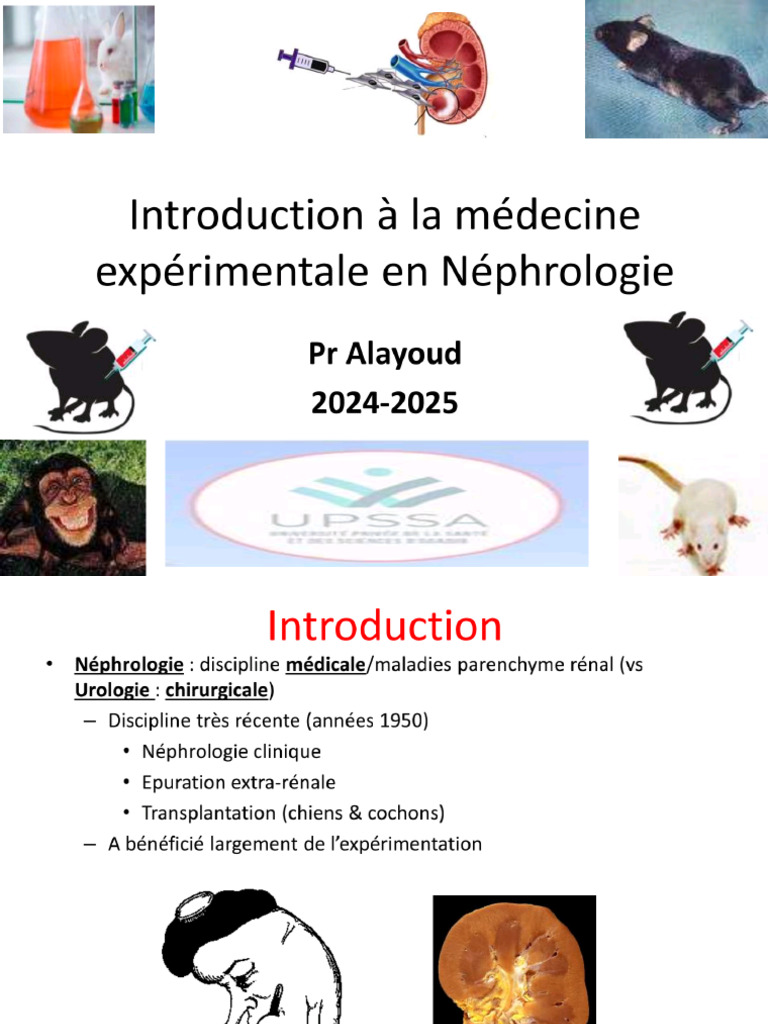 COURS MEDX Nephro Introduction | PDF