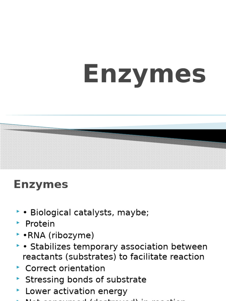 Bio 102 Unit 2 Enzymes, Metabolism, and Cellular Respiration & Gaaeous ...