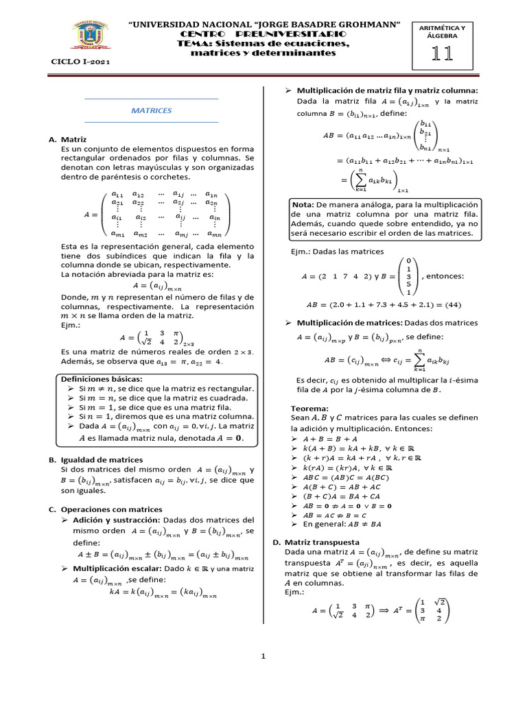 Pract. 11 Aritmetica y Algebra Sin Claves | PDF | Matriz (Matemáticas) | Determinante