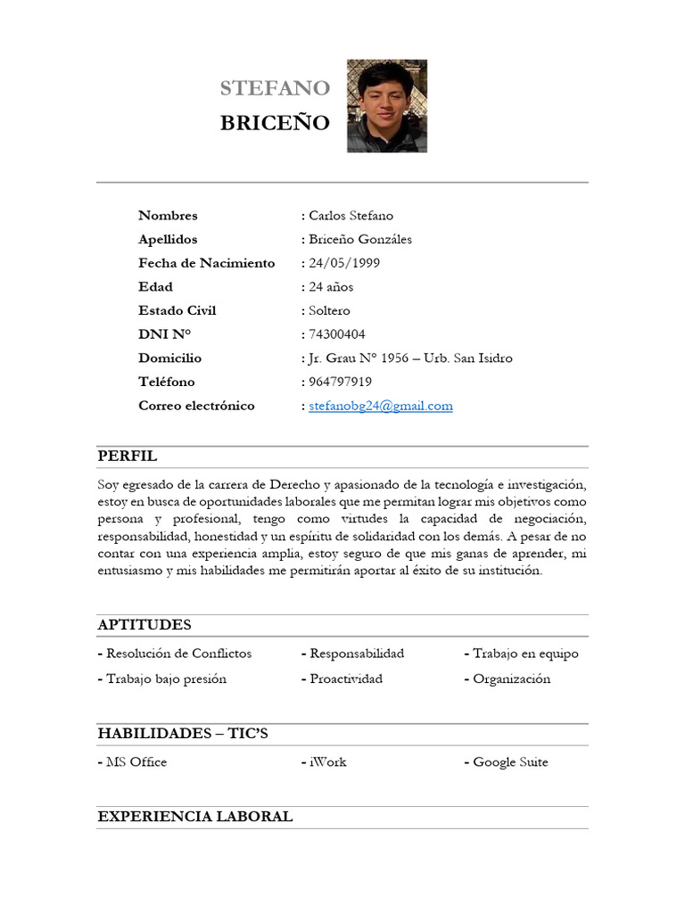 CV Stefano | PDF