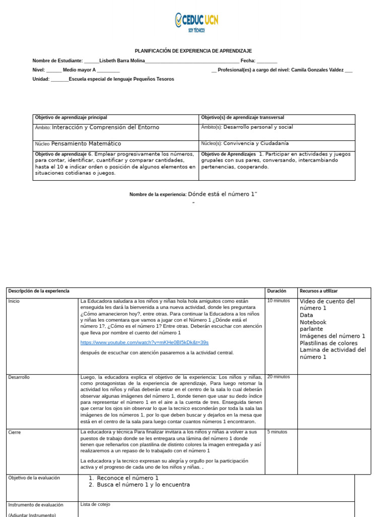 Planificación de Experiencia de Aprendizaje Numero 1 | PDF | Ciencia cognitiva | Ciencias del ...