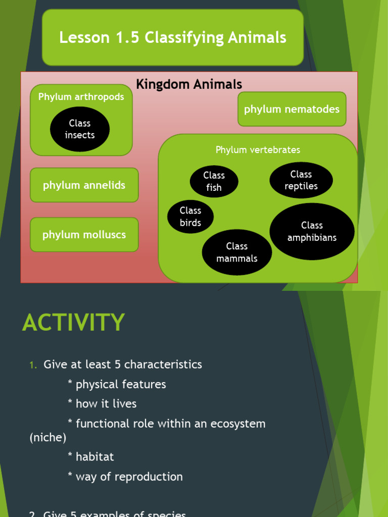 1.5 1.6 Classifying Animals Plants | PDF | Seed | Flowers