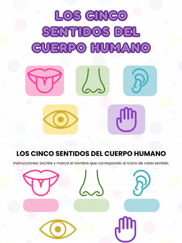 5 Sentidos | PDF