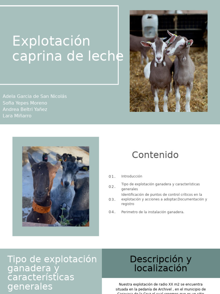 Tipo de Explotación Ganadera y Características Generales | PDF ...