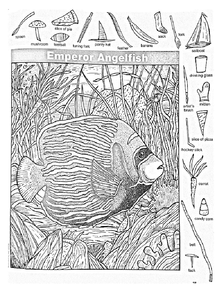 Emperor Angelfish Hidden Picture With Random Objects | PDF