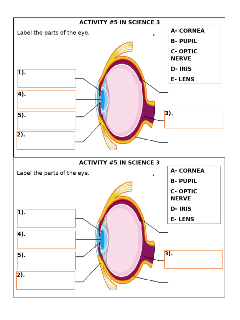 Sci3 Act5 | PDF
