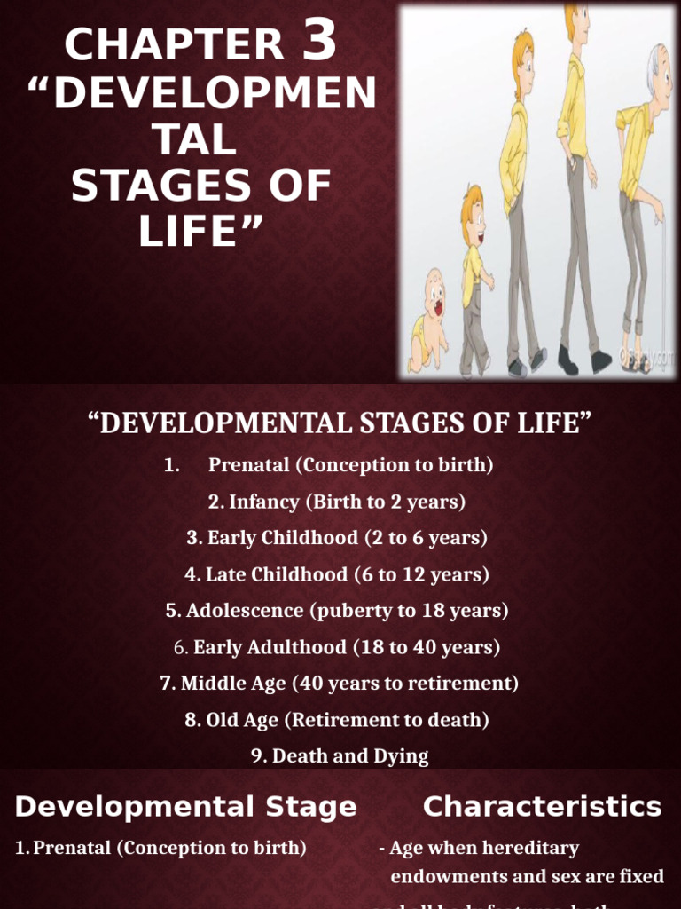 Adjusting to Early Adulthood Changes | PDF | Adolescence | Early Childhood