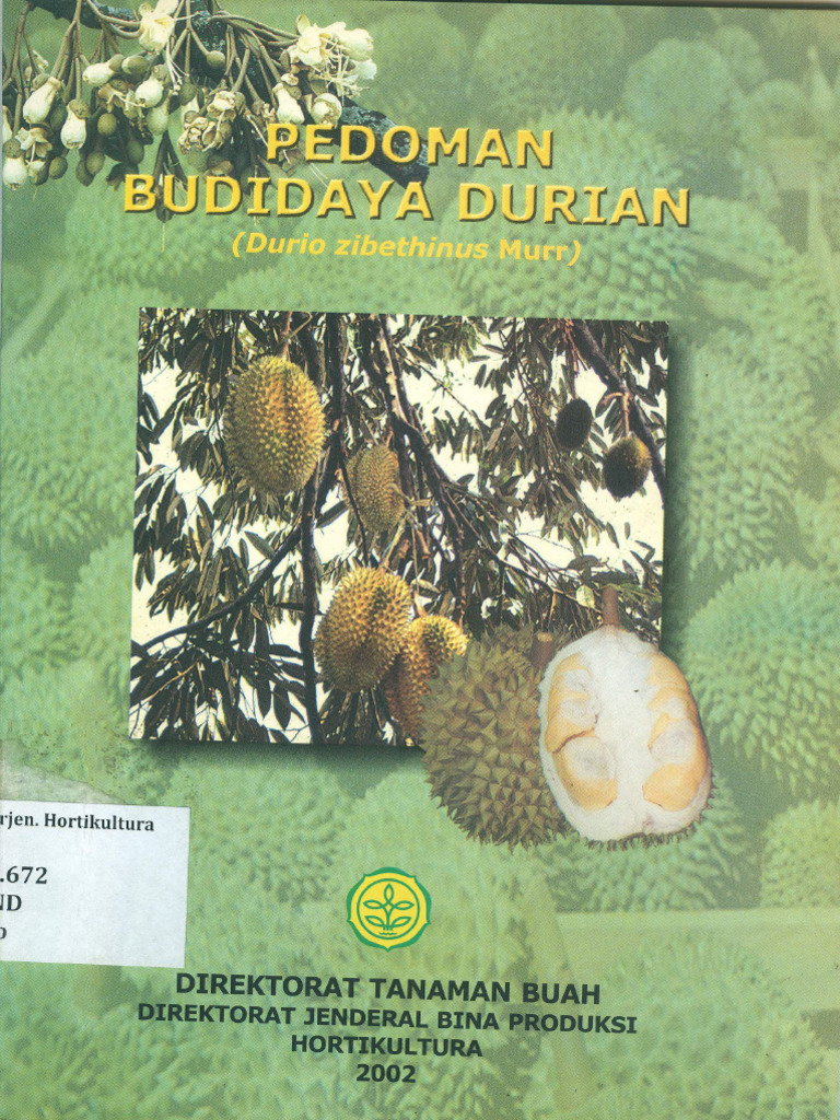 Pedoman Budidaya Durian (Durian Zibethinus Murr) | PDF