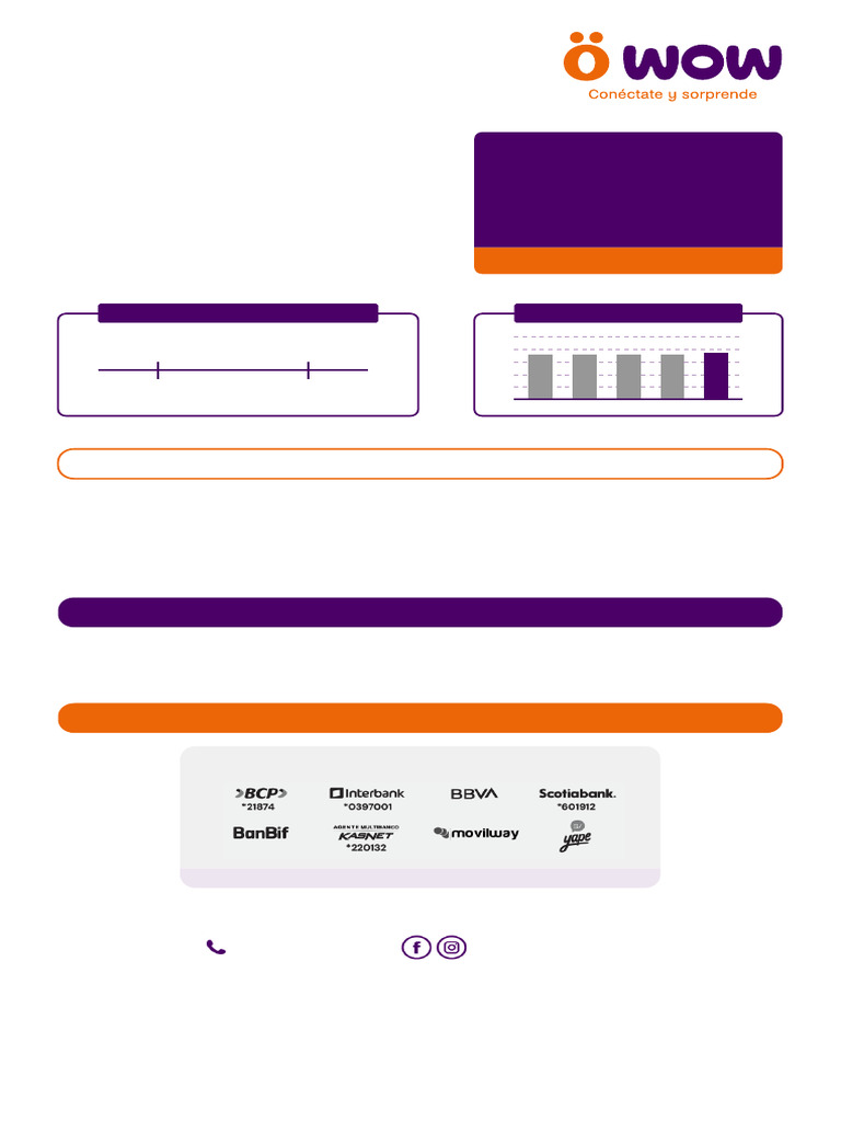 Modelo de Boleta | PDF