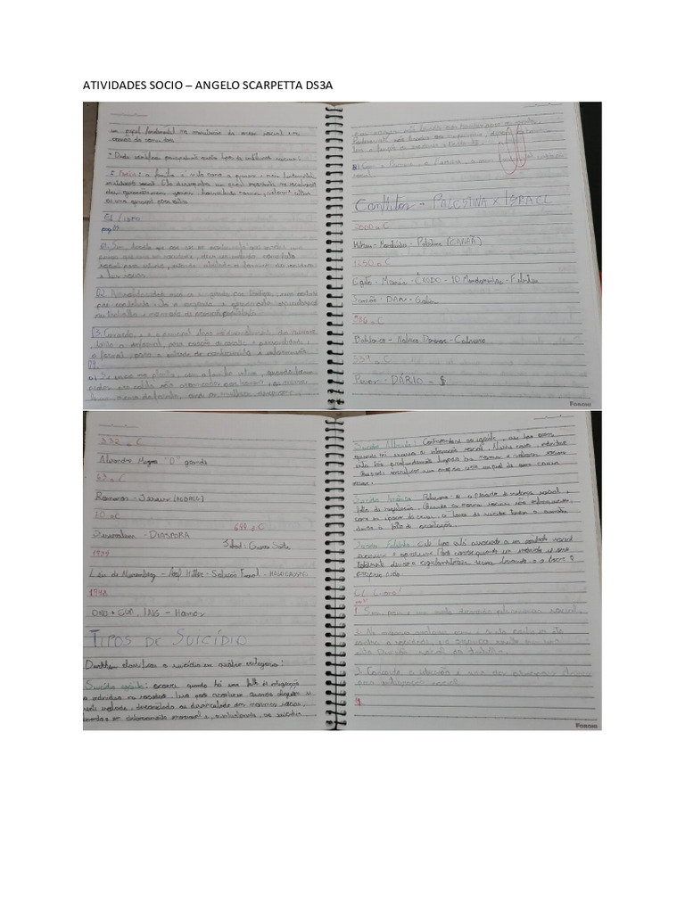 Atividades Socio | PDF