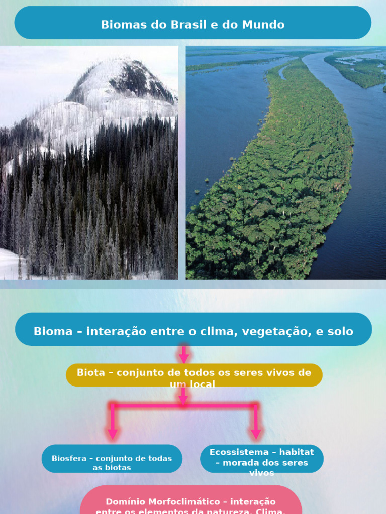 Biomas Do Mundo e Do Brasil | PDF | Florestas | Deserto
