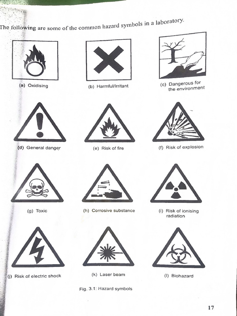 Scanned 20250616 122354 | PDF