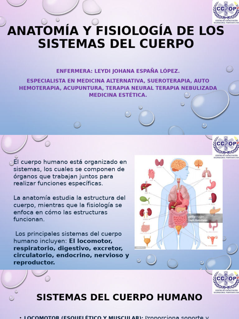 Anatomía y Fisiología de Los Sistemas Del Cuerpo | PDF | Sistema ...