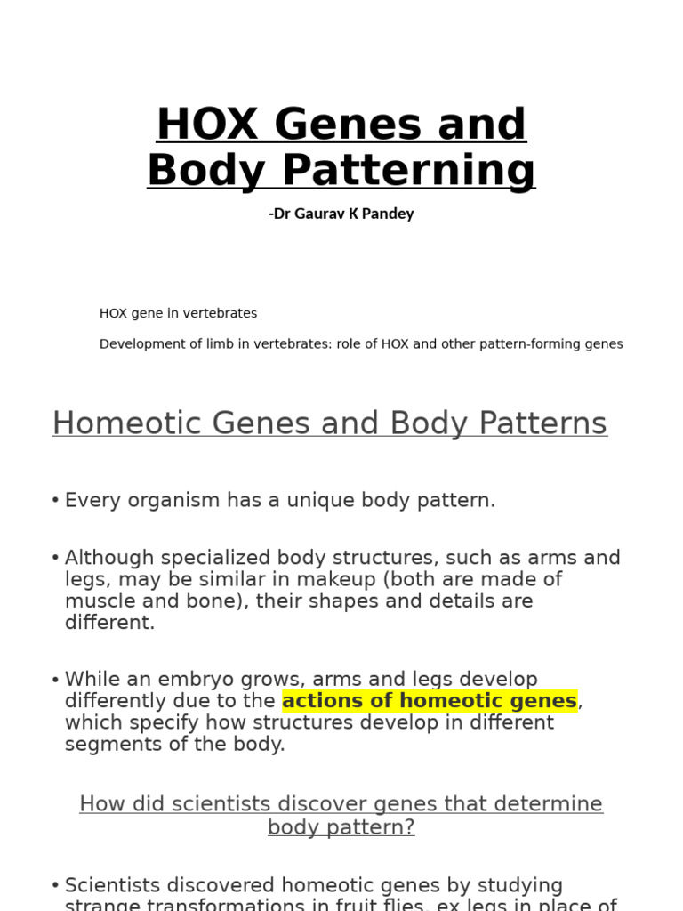 HOX GENES and Body Patterning - GKP | PDF | Biological Processes ...