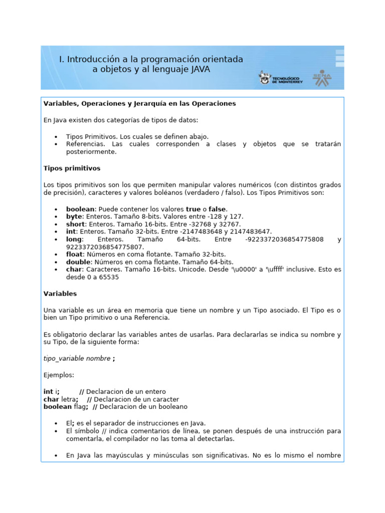 1 - Intro - Progrmacio - OB-Capitulo 2 - 01 Variables y Operaciones | PDF | Java (lenguaje de ...
