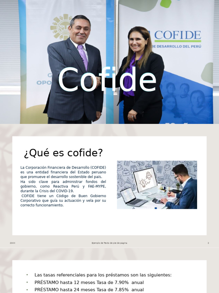 COFIDE | PDF | Economias | Sector privado