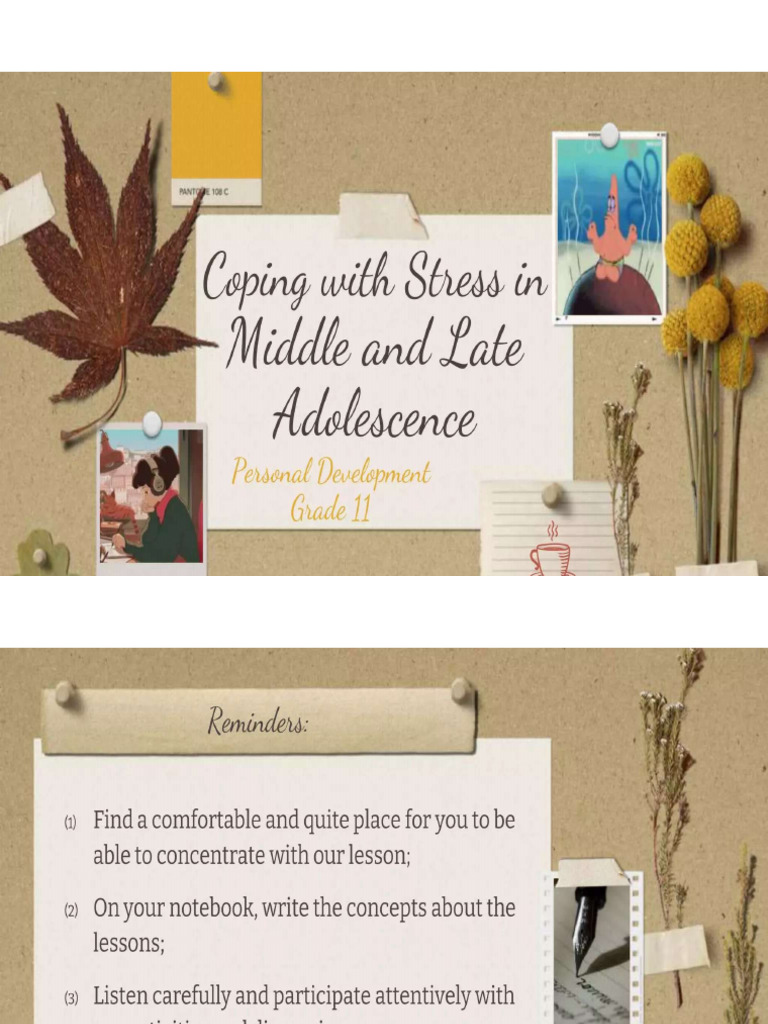 Coping With Stress-Palgan | PDF