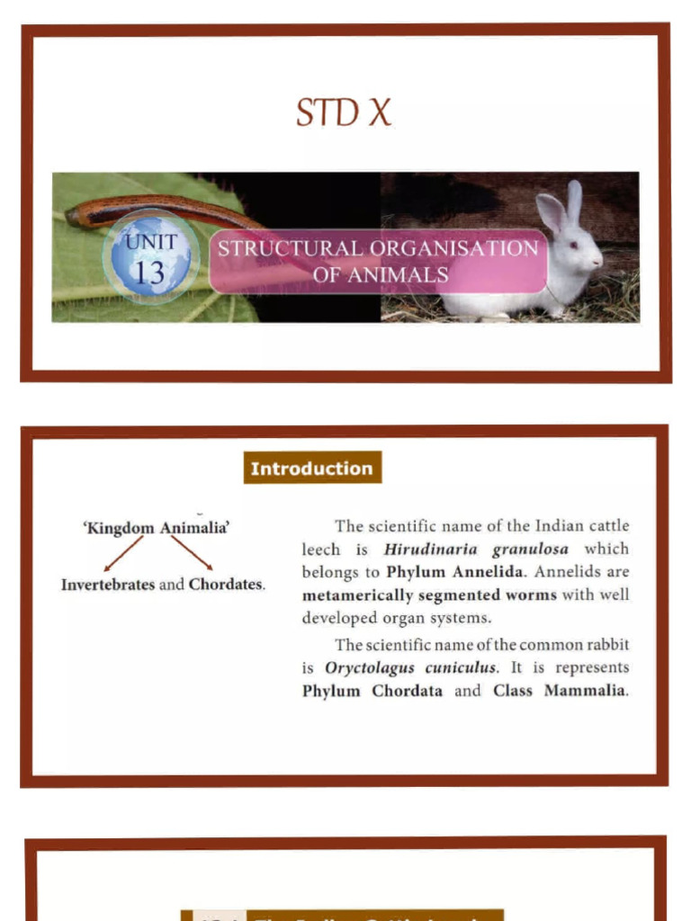 10th STD Biology 13th Lesson | PDF