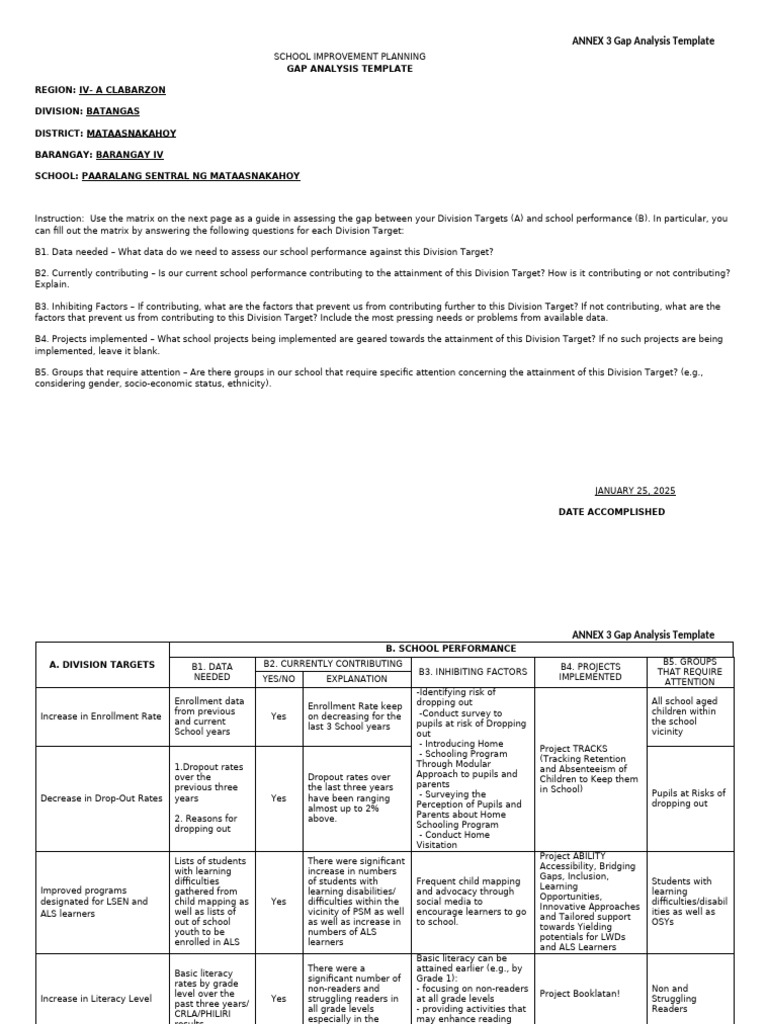 Annex 3 Gap Analysis 2025-2028 | PDF | Literacy | Cognition