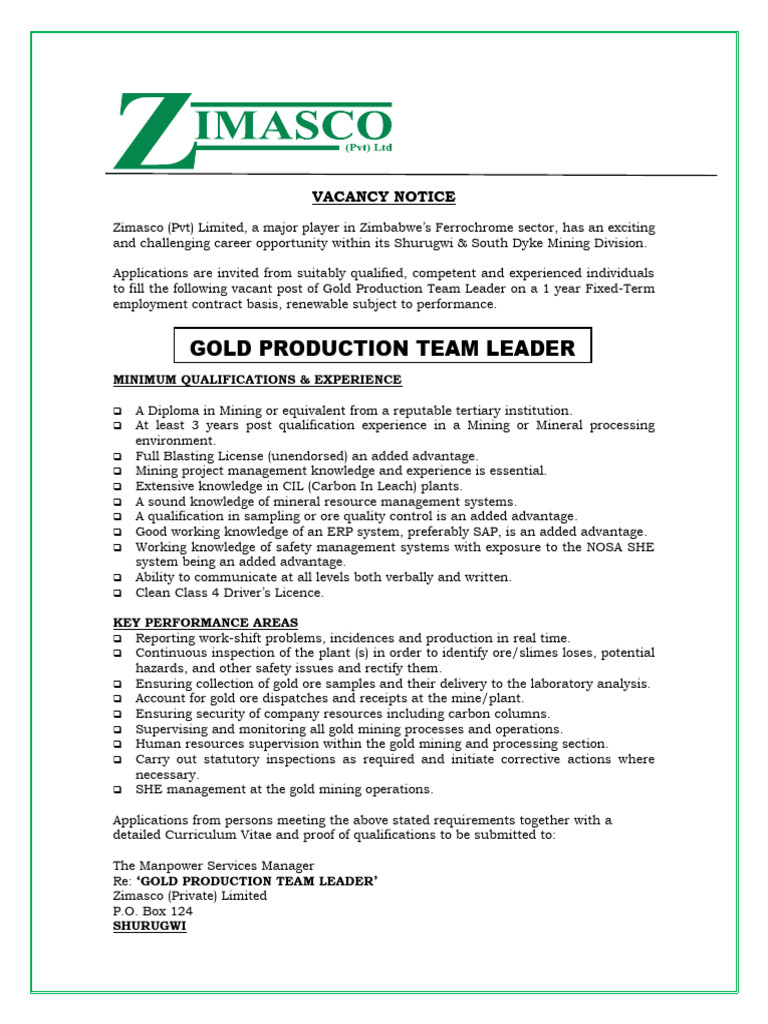 Gold Production Team Leader | PDF | Mining | Gold Mining