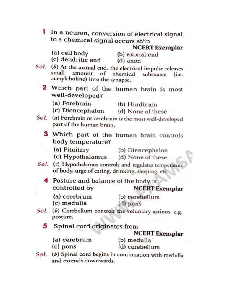 Control and Coordination MCQ | PDF