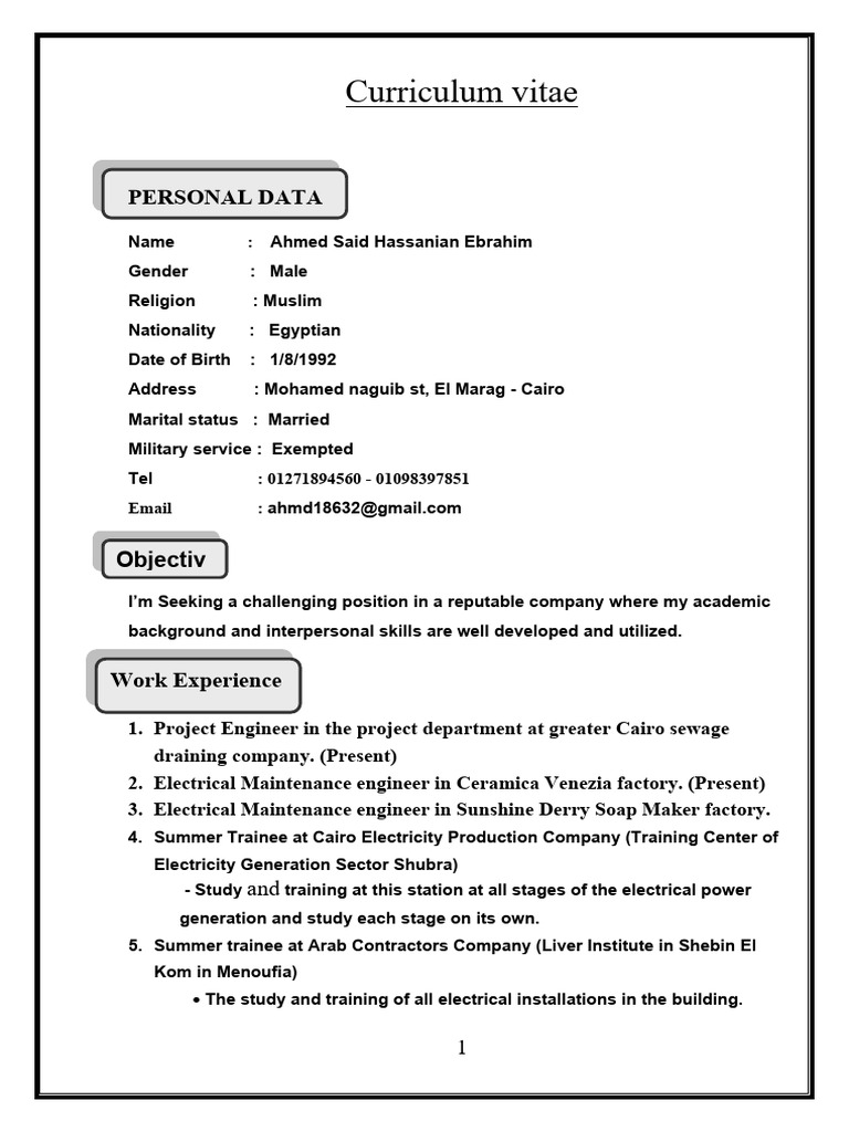 Ahmed Saied CV | PDF