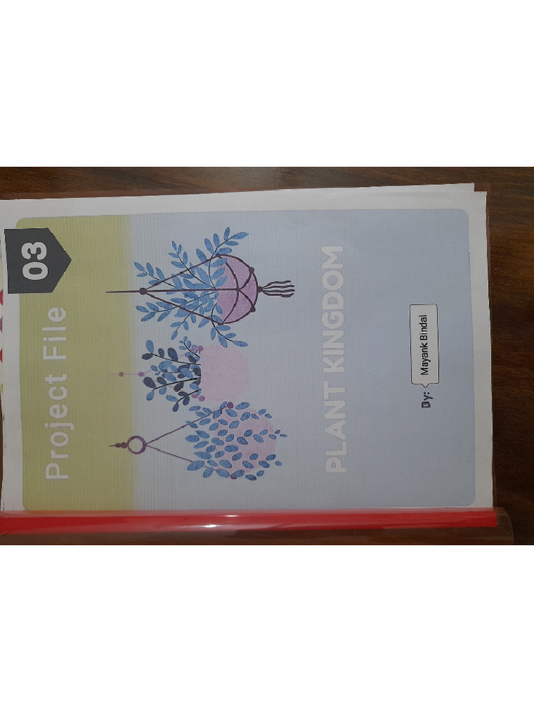 Project File by Mayank Bindal | PDF