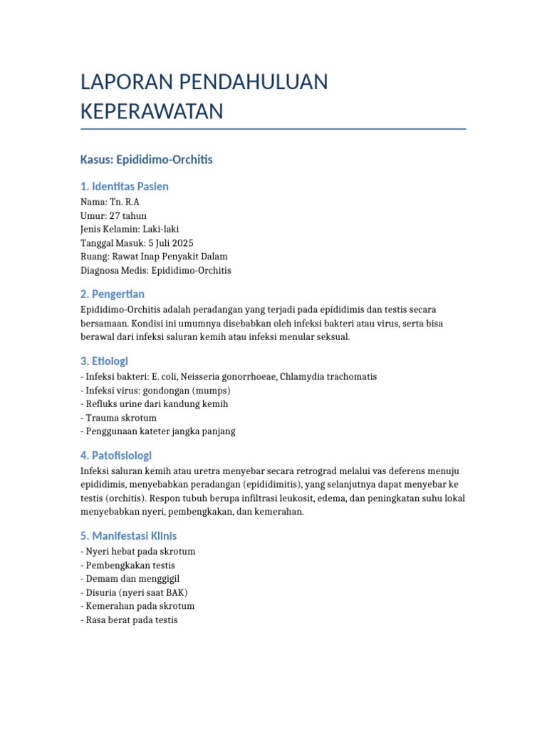 Contoh LP Epididimo Orchitis Lengkap | PDF