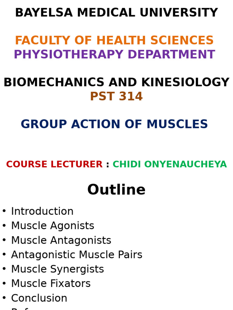 Group Action of Muscles Explained | PDF | Pelvis | Anatomical Terms Of ...