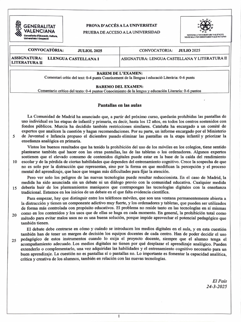 Examen Pau Valencia Castellano | PDF | Enseñando | Aprendizaje