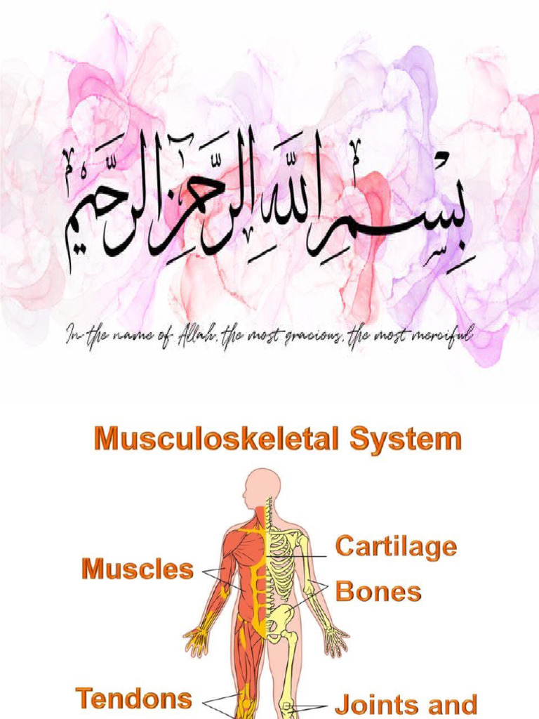 Characteristics of Musculoskeletal System | PDF