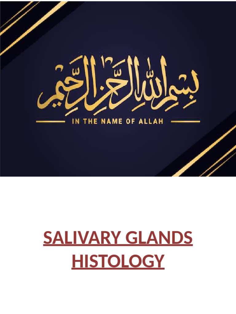 Parotid Gland Histology | PDF