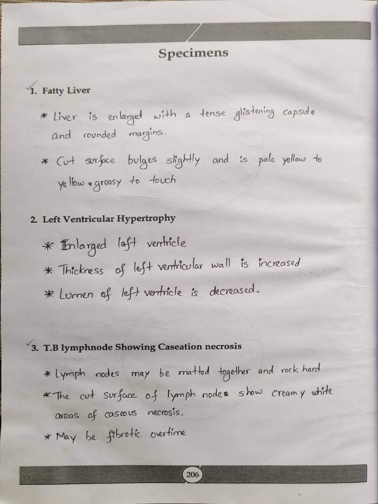 Patho Record (Specimens) | PDF