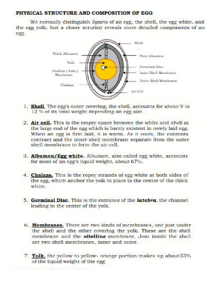 Physical Composition of Egg | PDF