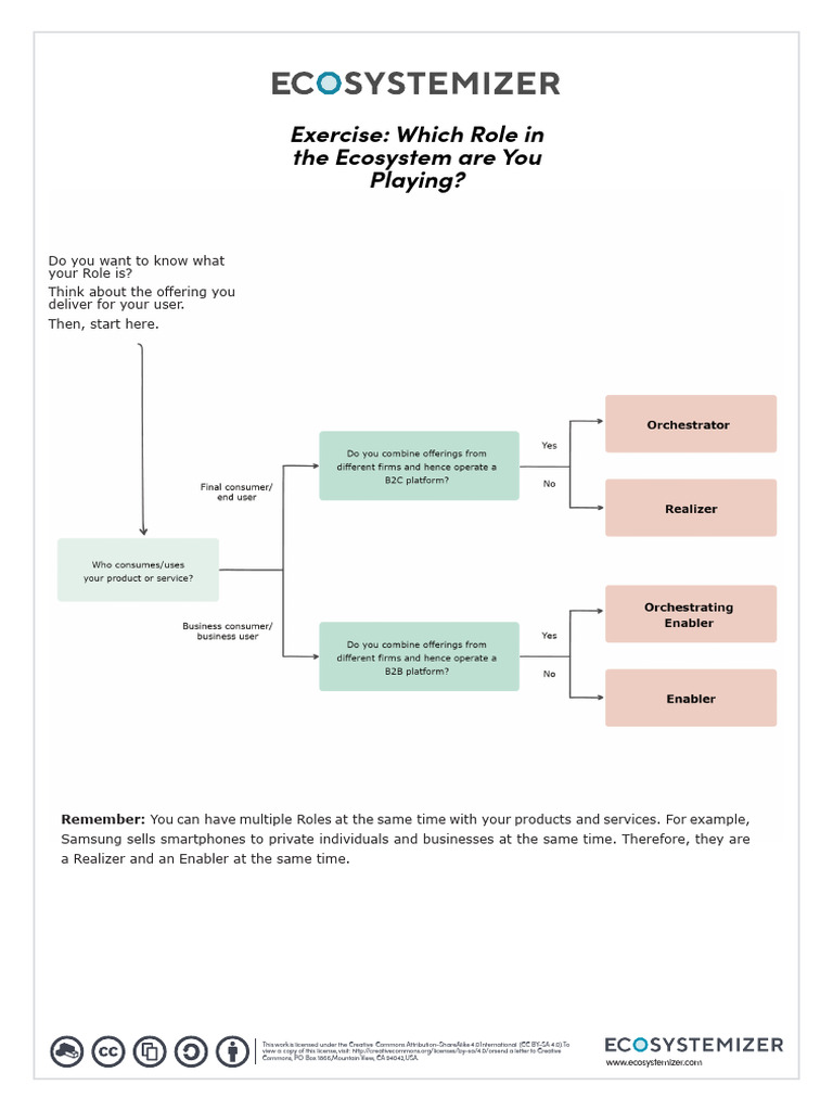 4 Ecosystem Roles | PDF