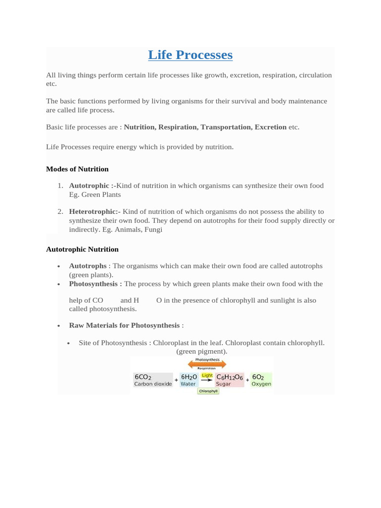 Understanding Life Processes in Organisms | PDF | Kidney | Nutrition