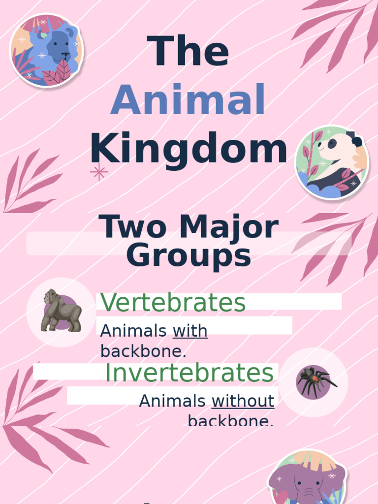 Animal Kingdom Vertebrates | PDF | Fish | Egg