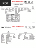ZIMSEC Topical Collection Exercises | PDF