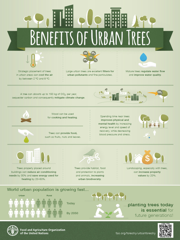 Benefits of Urban Trees Explained | PDF | Trees | Carbon Dioxide