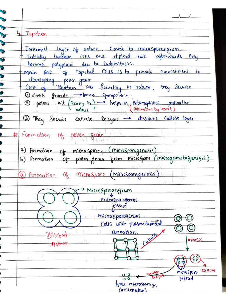 PDFReader 20250710 1610 | PDF